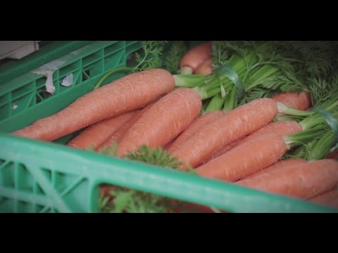 E.Leclerc Drive St-Avold - Fruits et Légumes