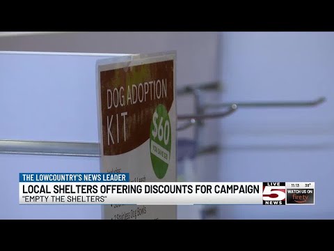 VIDEO: Lowcountry animal shelters offering discounts as part of national campaign