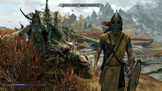 Who Put This Guy In Guard Duty at Skyrim Special Edition Nexus - Mods ...