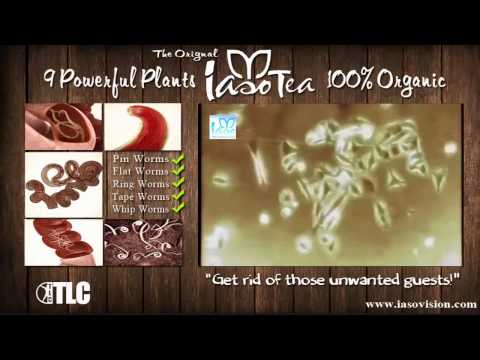 Iaso Tea Ingredients & Benefits II (Total Life Changes, MLM, 50% Commission))
