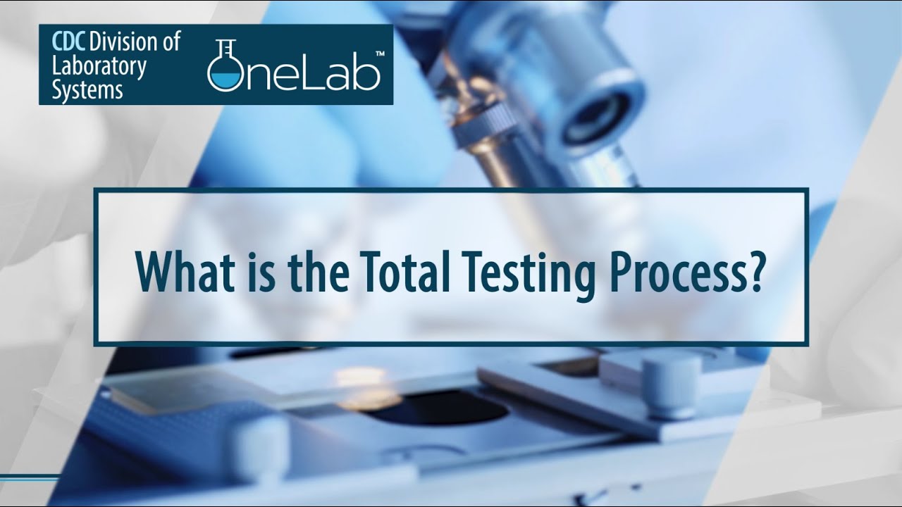 What is the Total Testing Process?