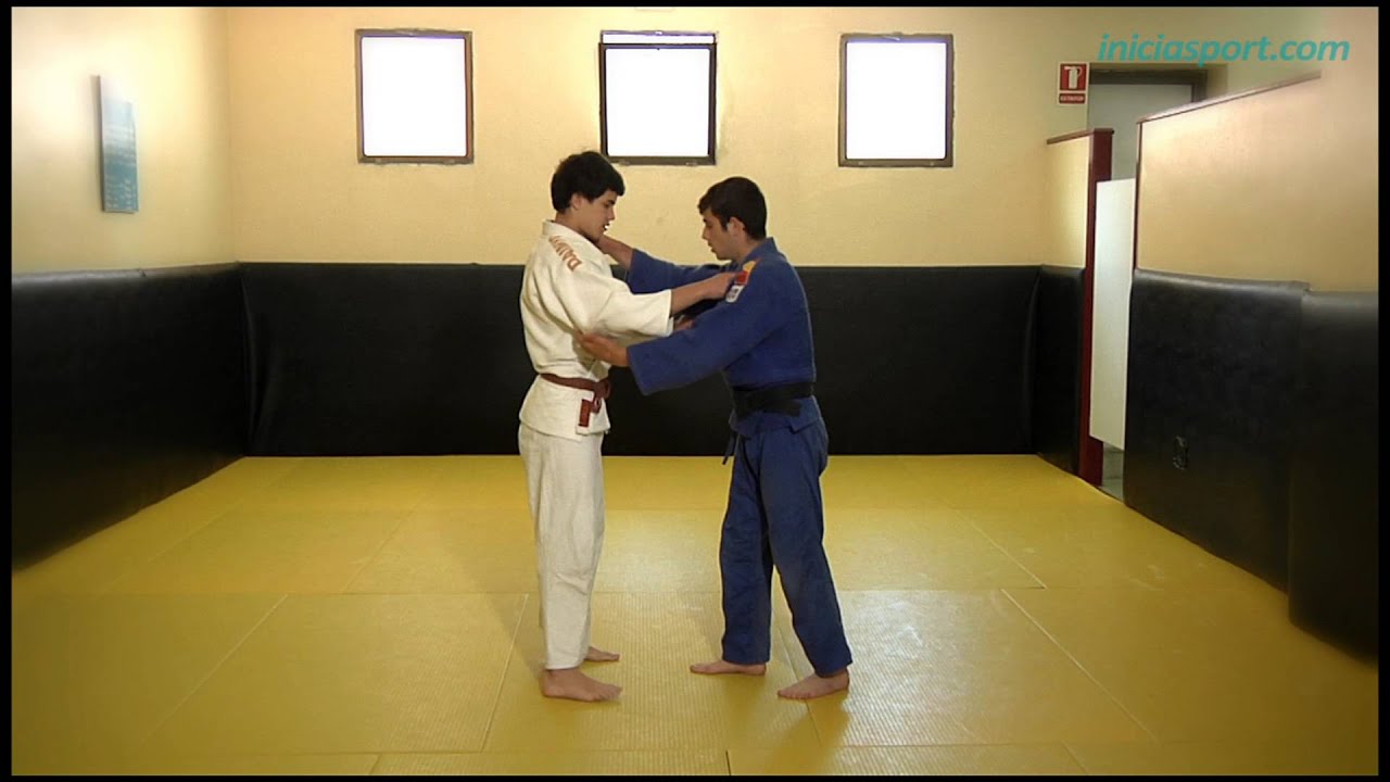 Judo 8. Standing Throw Techniques (Ashi Waza)