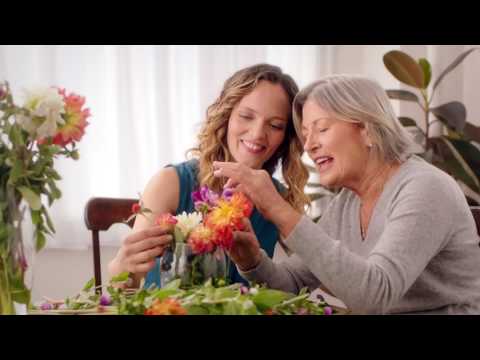 PREVAIL Commercial