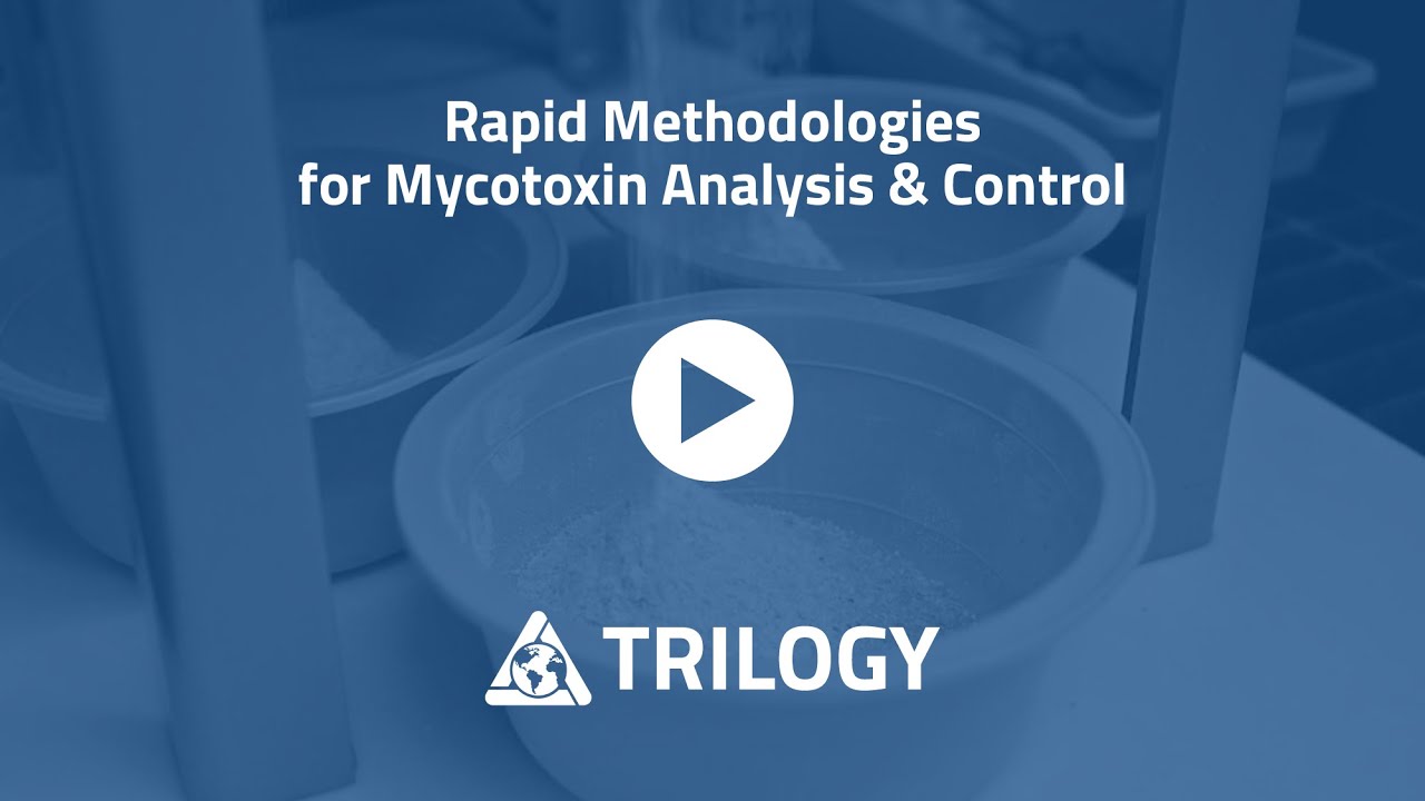 Trilogy Presentation: Rapid Methodologies for Mycotoxin Analysis and Control