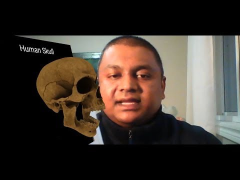 Anatomy Explorer - Augmented Reality (AR) Learning Tool