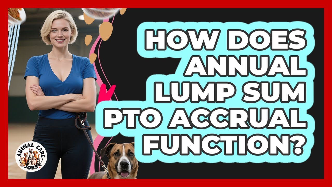 How Does Annual Lump Sum PTO Accrual Function?