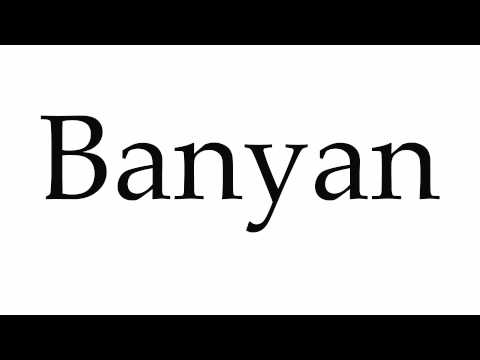 How to Pronounce Banyan
