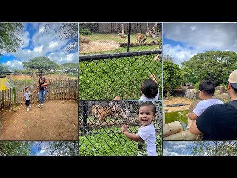 Honolulu Zoo 🤙 | Waikiki, Hawaii |