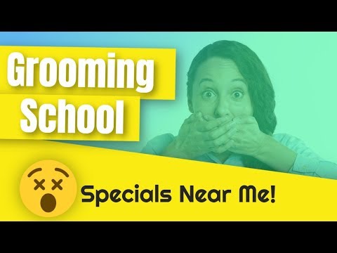Dog Grooming School Specials Near Me - Best Dog Grooming School - Dog Grooming School Special