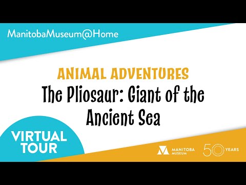 Animal Adventures: The Pliosaur - Giant of the Ancient Sea