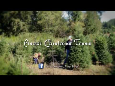 Meet The Aerni's, Authentic Oregon Christmas Tree Farmers