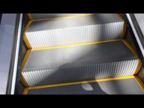 BRAND NEW! KONE Mall Escalators Outside of Nordstrom: Ridgedale Center, Minnetonka, MN