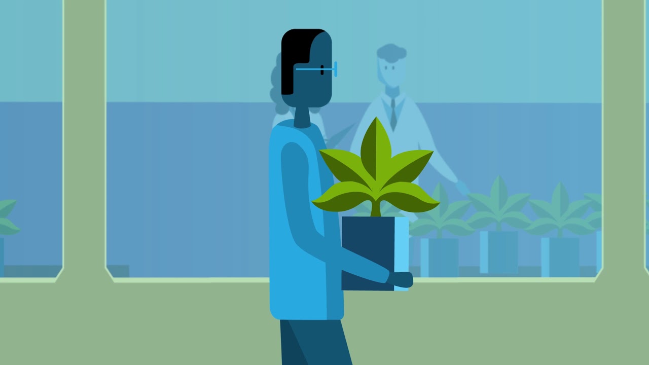 Hyperledger Indy Explainer Video