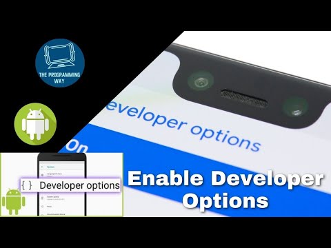 How to Enable Developer Options in Android 11 | The Programming Way