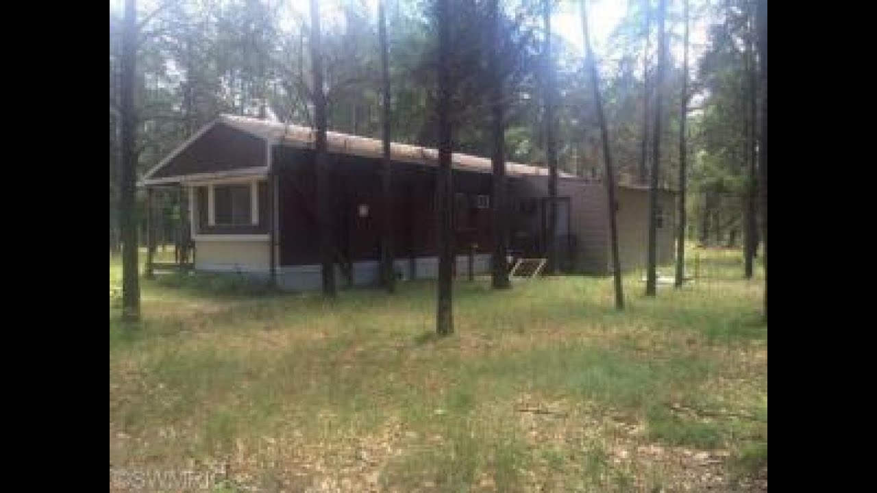 Residential for sale - 3468 Merrillville, Baldwin, MI 49304