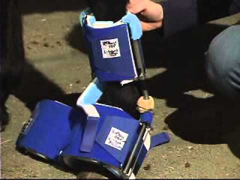 Dynasplint Veterinary Equine Fetlock Varus Valgus