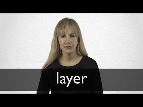 LAYER definition and meaning | Collins English Dictionary