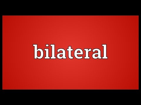 Bilateral Meaning
