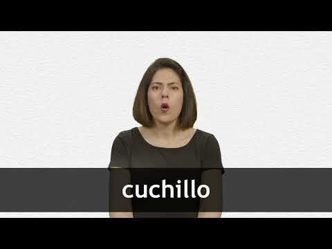 English Translation of “CUCHILLO” | Collins Spanish-English Dictionary
