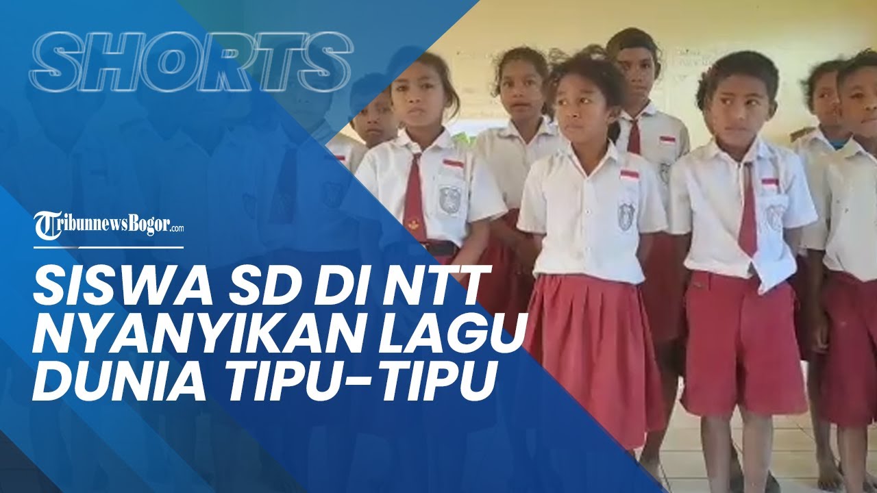 Viral Anak SD di NTT Nyanyikan Lagu Dunia Tipu-tipu, Tetap Serius Meski ... Viral Anak SD di NTT Nyanyikan Lagu Dunia Tipu-tipu, Tetap Serius Meski ...