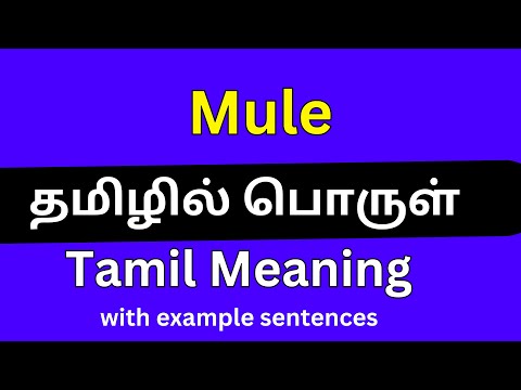 Mule meaning in Tamil/ Mule தமிழில் பொருள்