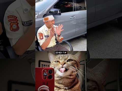 My friend have unique talent๐ฟ๐ #cat #meme #funny #trending