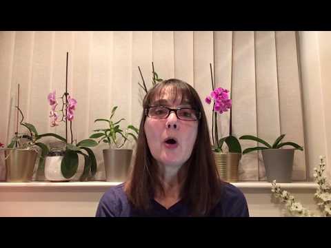 Hil's Pills - AdCal D3 Chewable Tablets - Useful Information