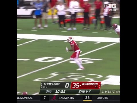Wisconsin WR Skyler Bell TD vs New Mexico St. | Big Ten Football