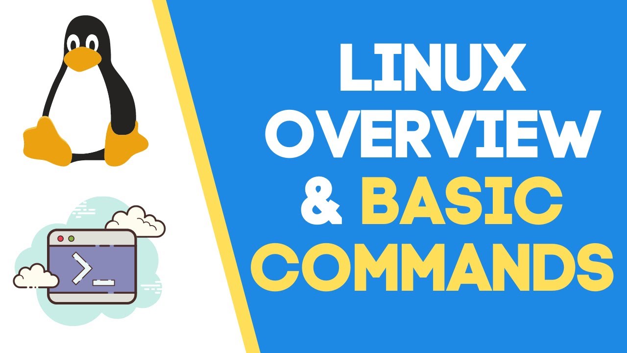 Shell Scripting Lecture 3 -Linux Overview and basic Commands | shell scripting tutorial