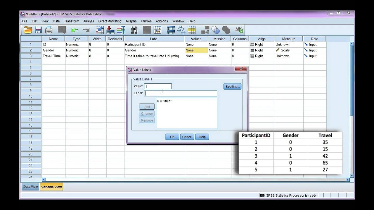 Enter data and define variables in SPSS