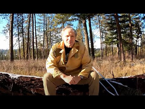 Popular YouTube gun expert Paul Harrell announces own death at 58 in video: 'If you're watching me,