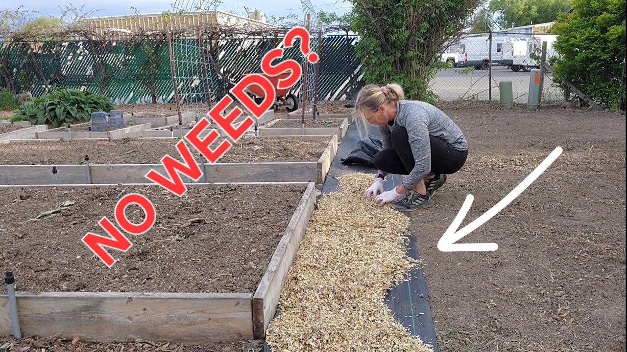 Amazon Review of this 4FTx100FT Weed Barrier Fabric Heavy Duty, Gardening Landscape Fabric Cover Mat