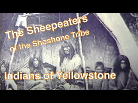 The Sheepeaters, Mountain Indians of the Greater Yellowstone Region