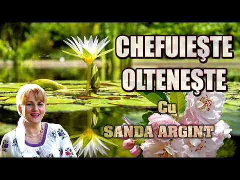 MUZICA DE PETRECERE – SANDA ARGINT - AM DUSMANI SI LUMEA-I REA