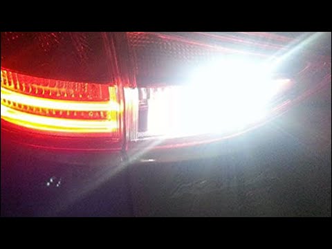 Top 10 Automotive Back Up Light Bulbs You Can Buy On Amazon Nov 2021