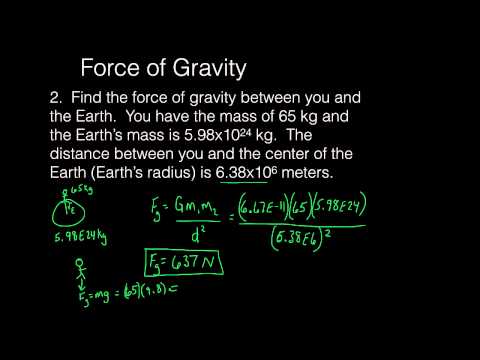 Force of Gravity (Video Physics)