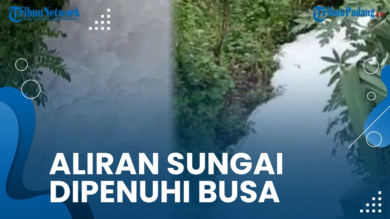 Aliran Sungai di Gowa Dipenuhi Busa, Diduga dari Getah Pohon Rambutan ...