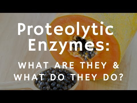 What Are Proteolytic Enzymes and What Do They Do?