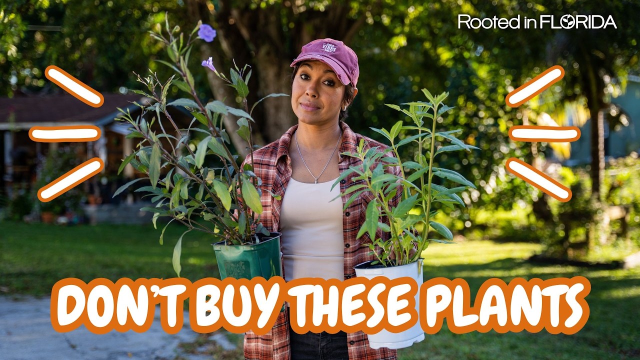 Invasive Plants in Florida YOU Should Know About | Rooted in Florida #invasivespecies