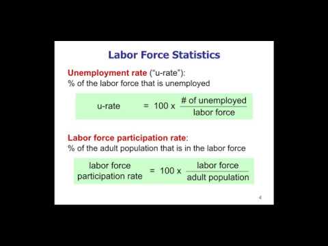 Econ 08.01 - Labor Force Statistics
