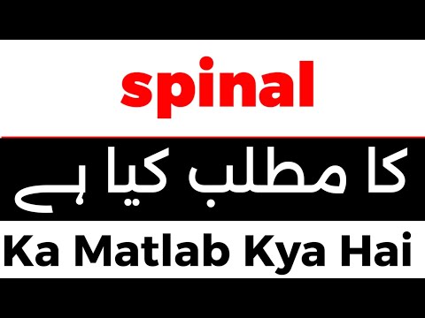 Spinal Meaning In Urdu | Spinal Meaning | Spinal Ka Matlab Kya Hota Hai | Spinal Urdu Meaning