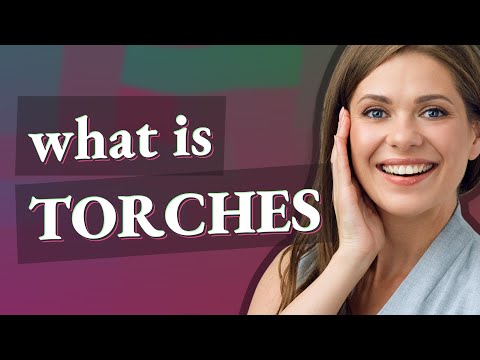 Torches | meaning of Torches
