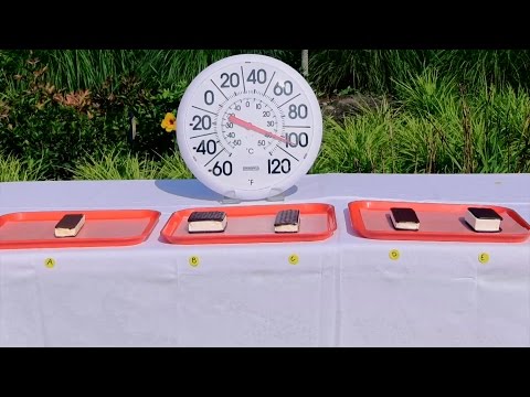 Science Behind Walmart's ‘Non-Melting’ Ice Cream | Consumer Reports