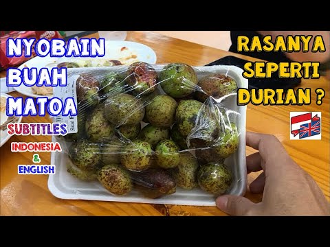 NYOBAIN RASA BUAH MATOA MATANG "MERAH" SEPERTI APA ??? DURIAN ???, REVIEW BUAH ASLI KHAS DARI PAPUA