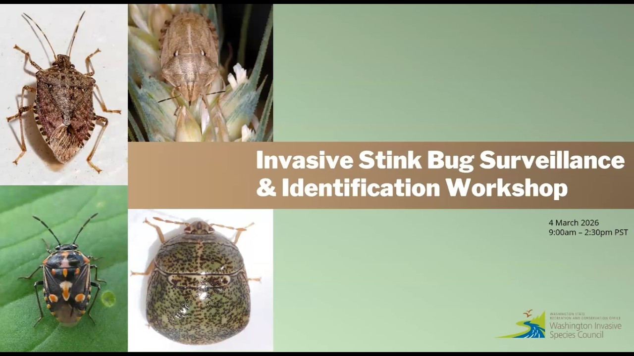 Invasive Stink Bug Surveillance and Identification Workshop