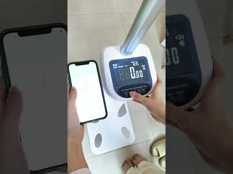 Body Mass Index Machines - BMI Machine Latest Price, Manufacturers ...