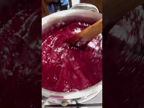 How to Make Jam - The Basics!
