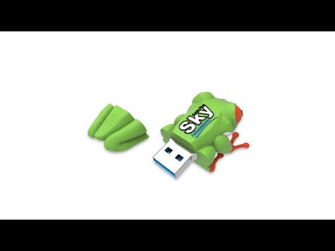 Custom Frog USB Flash Drive