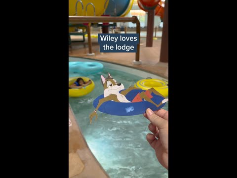 The Great Wolf Pack at Great Wolf Lodge