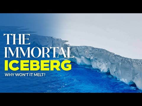A23a | The World’s Largest Iceberg Won’t Die